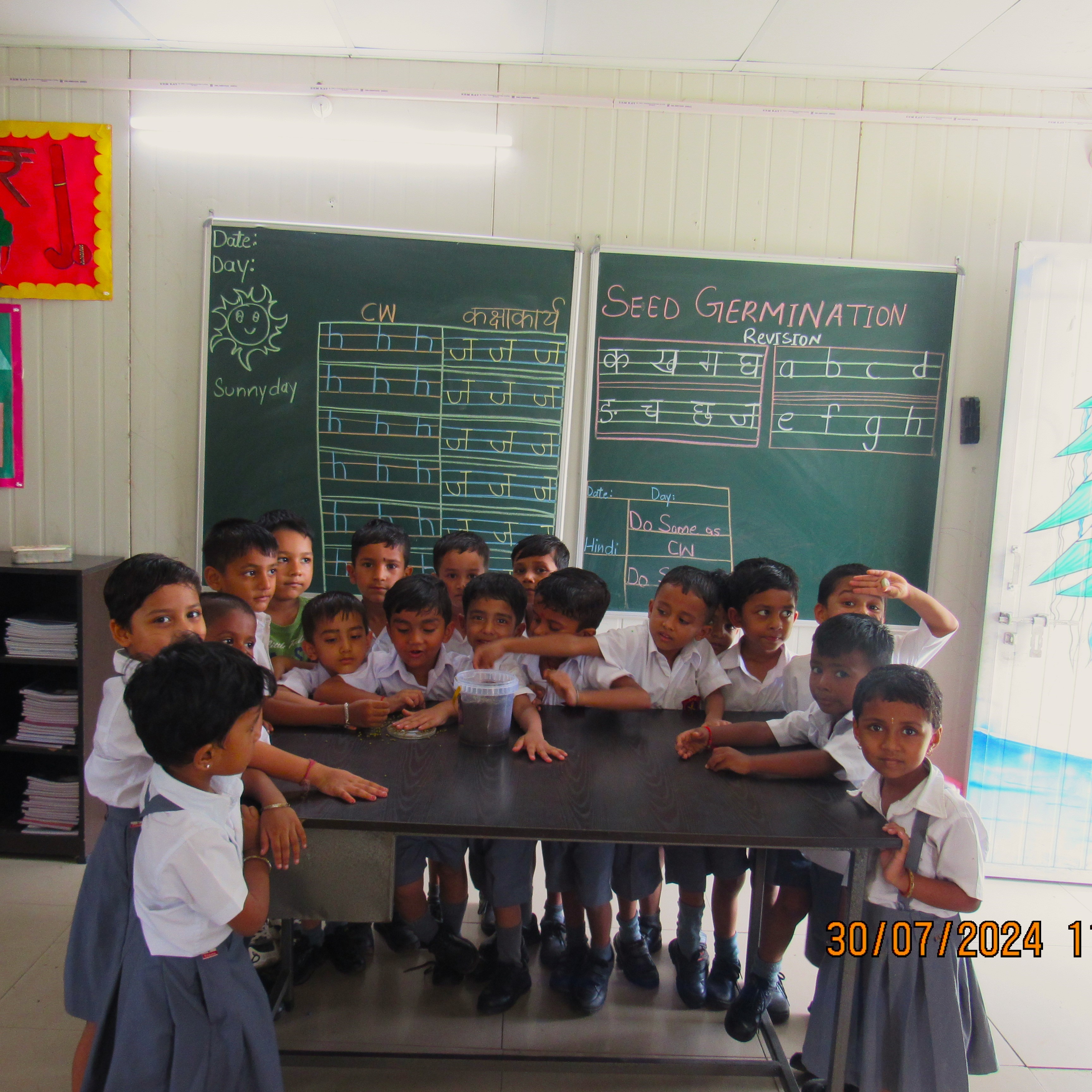 Balvatika APS Basoli